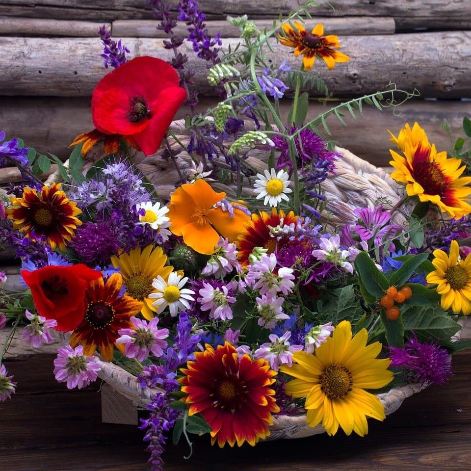 Blumen Donaueschingen - Blumen und noch mehr